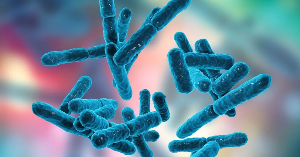 Fermenti lattici e diarrea: una guida ai migliori probiotici ...